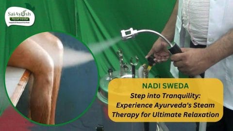 Herbal Steam & Nadi Sweda Therapy | Natural Detox & Pain Management